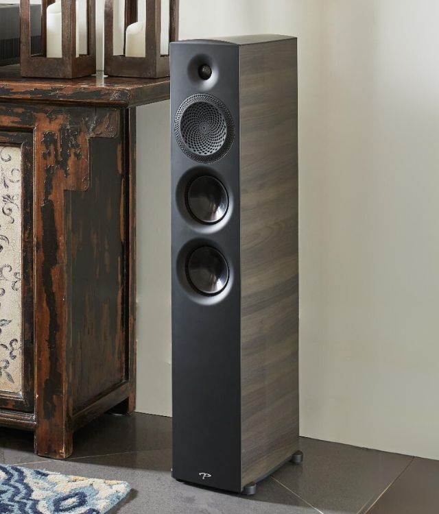 Paradigm Floor Standing Speakers - Ellis Audio + Video